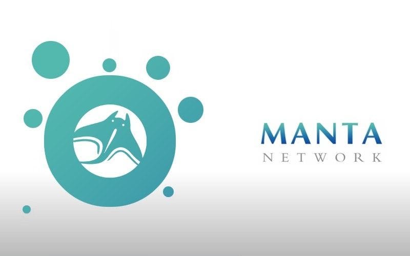 Manta Network: Empowering User Privacy on the Blockchain | by Yuriy ...
