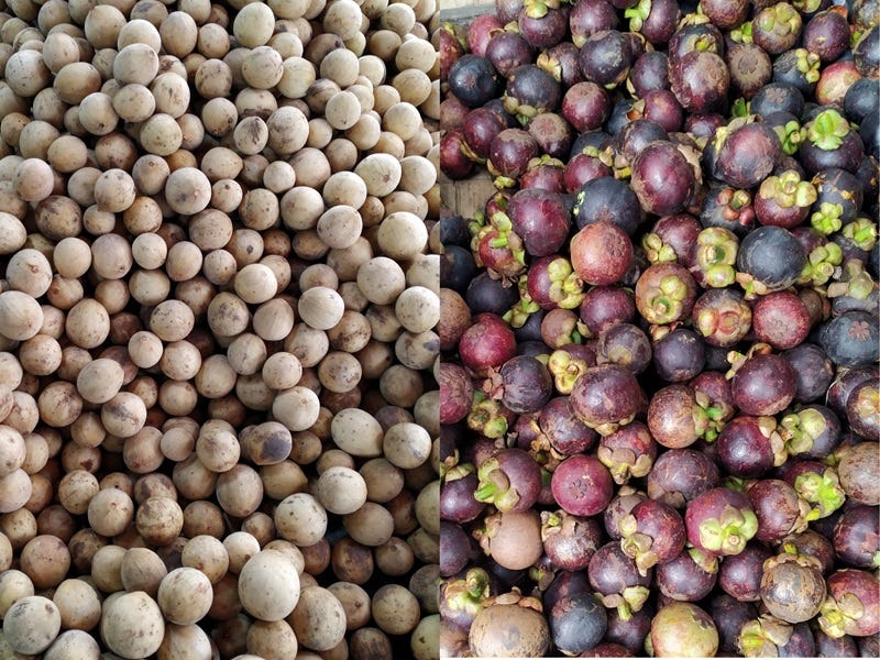 Even Alfred Russel Wallace Acknowledged Delicacy of These Tropical Fruits | by Samdy Saragih ...