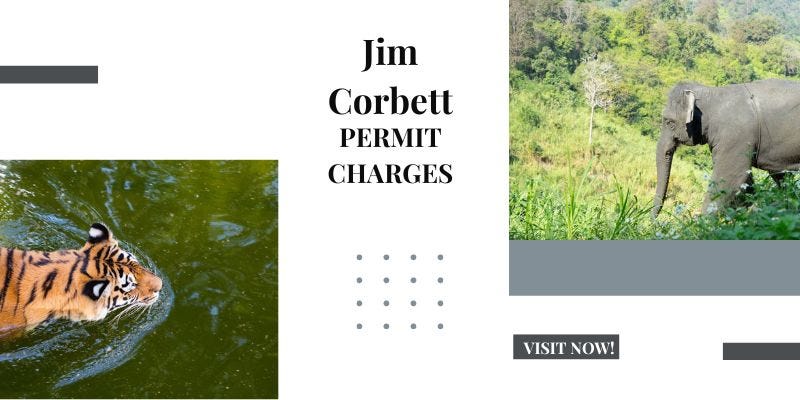 4 Useful Tips for Saving Your Jim Corbett National Park Charges ...