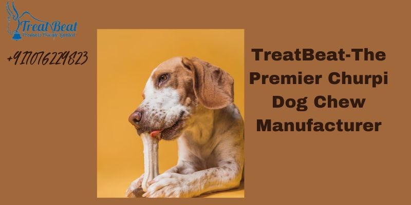 TreatBeat-The Premier Churpi Dog Chew Manufacturer - Jack Smith - Medium