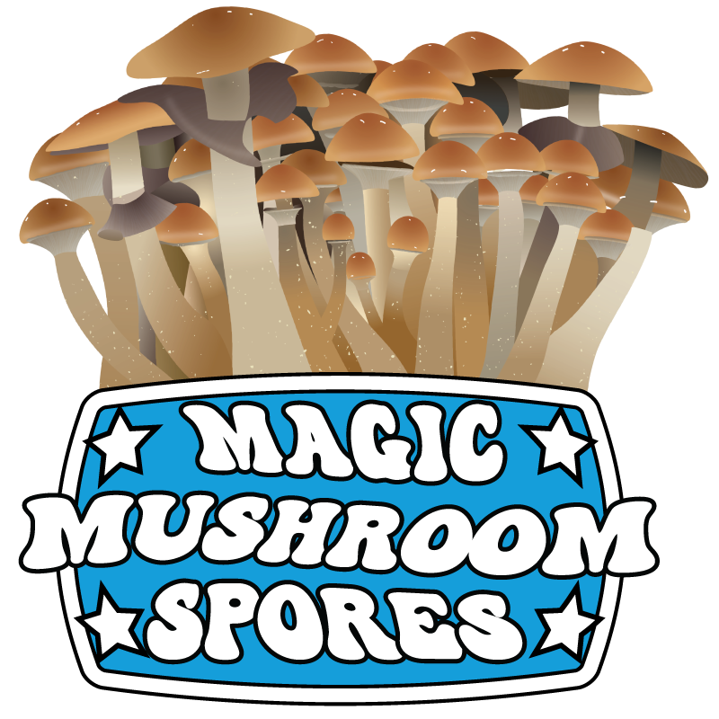 Golden Teacher Luecistic Spore Syringe - Lord of Spore - Medium