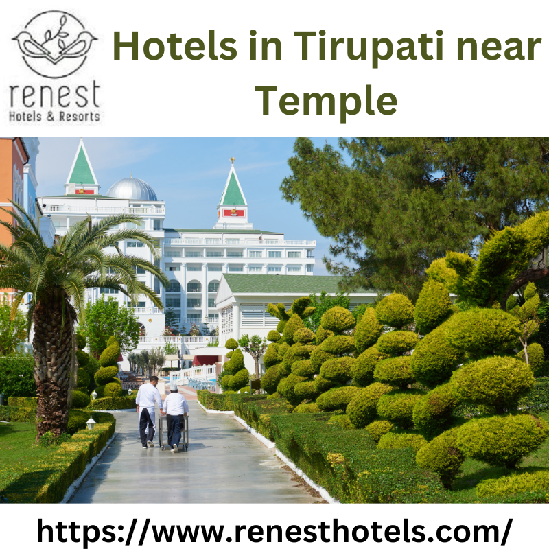 hotels in tirupati near temple | renest hotel - Renest hotels - Medium