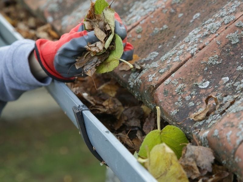 Choosing the Right Gutter Cleaning Specialist: What to Look For | by Window Cleaning Fresno CA ...