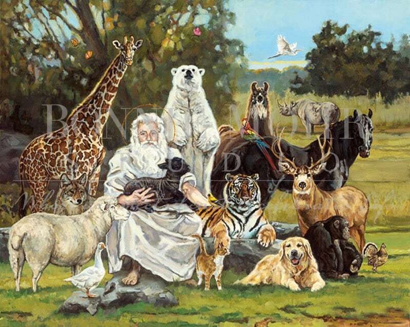 God's Creatures: A Reflection on the Animal Kingdom | by Umer Riaz | Medium