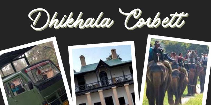 Important Information about Dhikala Region - Corbett National park - Medium