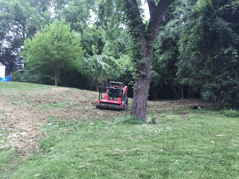 Brush Hogging Missouri and Illinois - Rightway Forestry Clearing - Medium