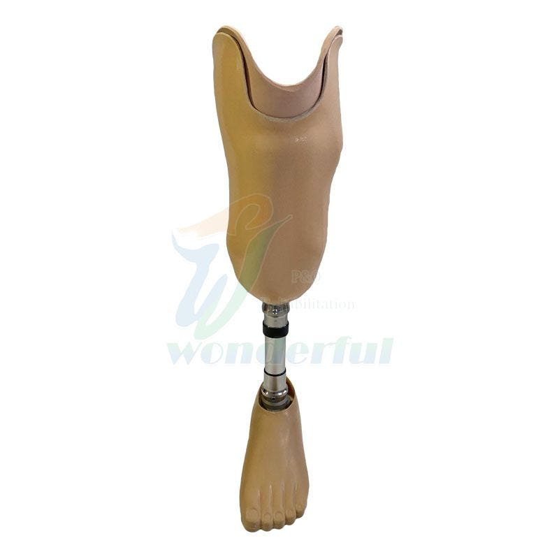 High Quality Custom Socket - Wonderfu Rehabilitation Device - Medium