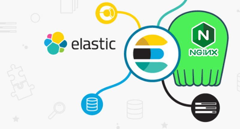 Nginx + Elasticsearch: Segmentando Leitura e Escrita | by Thiago ...