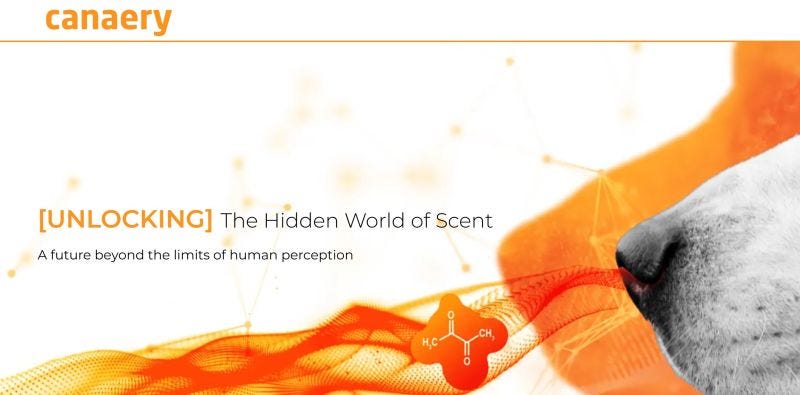 Disruption: How Truth Reveals Itself in Status Quo | by C. Atilla Erel ...
