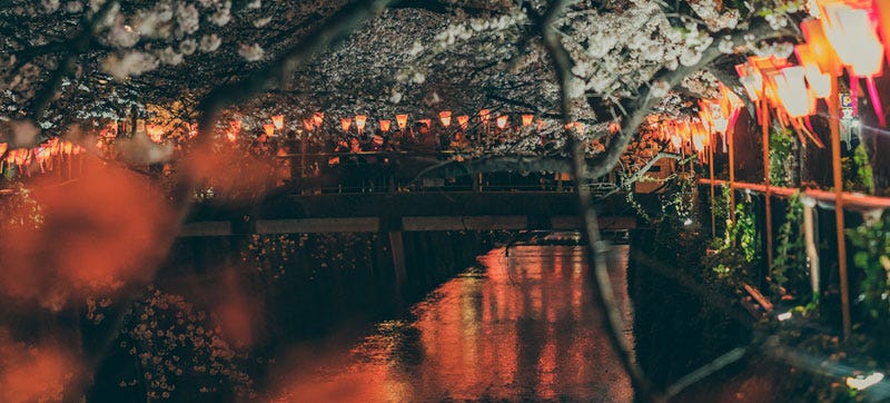Tokyo, A Water City. Tokyo is a network of often unseen and… | by World ...