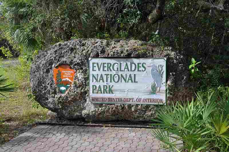 Everglades National Park Tours: Top Things to Do ...