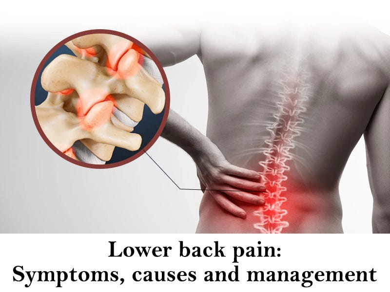 Lower Back Pain: Symptoms, Causes and Management | by The Newtown ...
