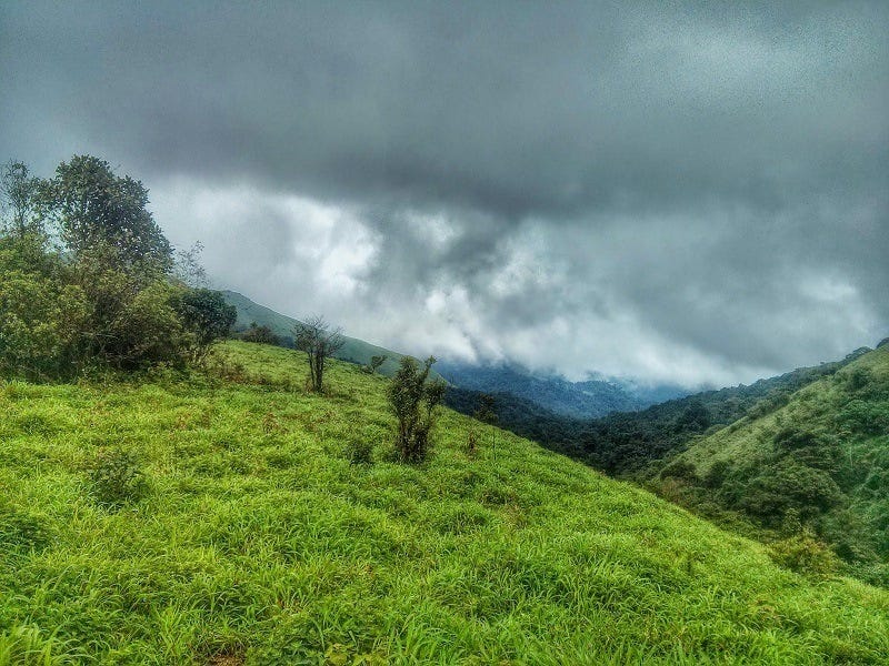 5 Most Popular Trekking Destinations in Coorg | by Anoop Murali | Medium