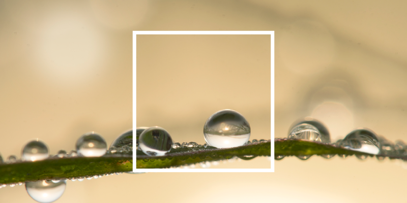 Water Retention: Why It Is an Important Part in the Skin Care Process ...