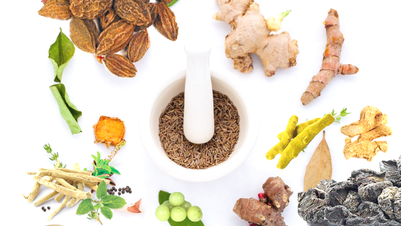 Raw herb suppliers. ndia’s most promising raw herbal… | by Herbcyte ...