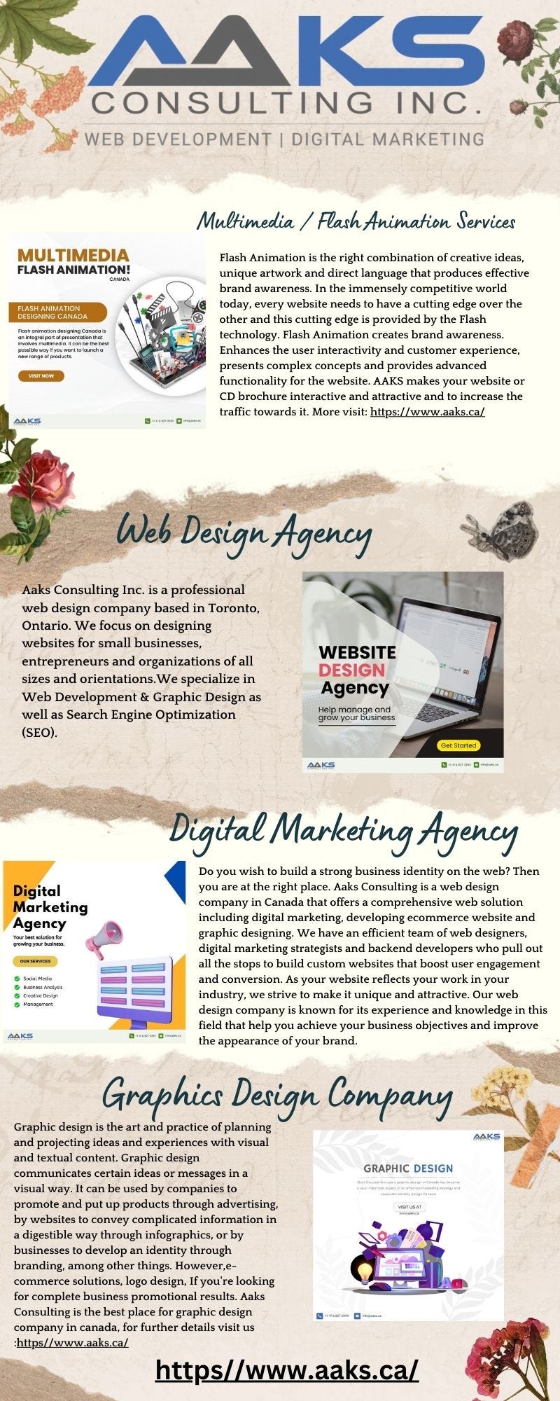 Multimedia / Flash Animation Services - Aaks Consulting Inc - Medium