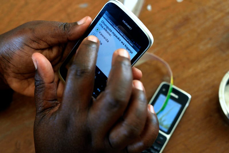 D-tree and Reach Digital Health Unite to Pave the Way for Maternal ...