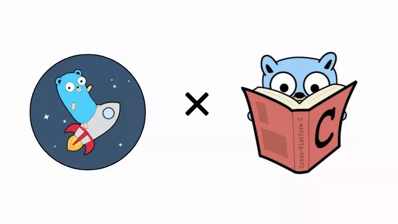 The Hidden Cost of Go’s cgo: Why Your "Performant" Go App Is a ...