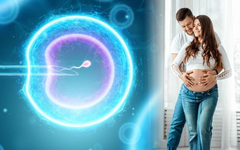 Unlocking the Future of Fertility: ReproArt Fertility Centre | by ...