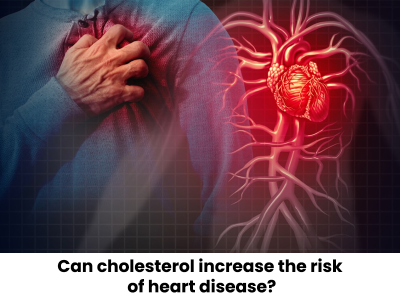 Can cholesterol increase the risk of heart disease? | by Apurba ...