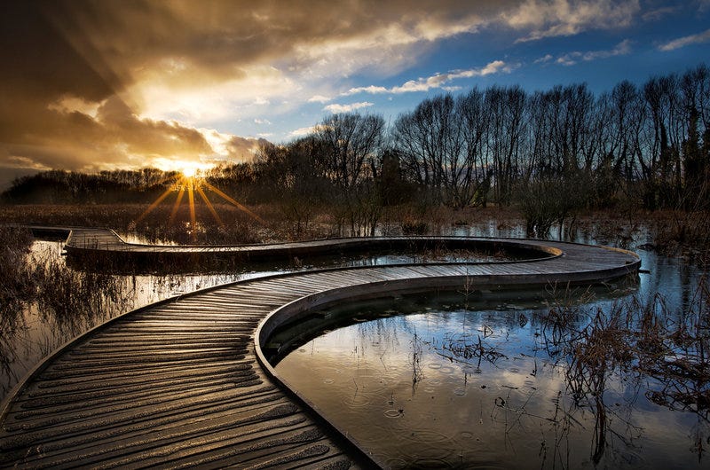 Now Is The Time For You To Know The Truth About The “Twisted Path ...
