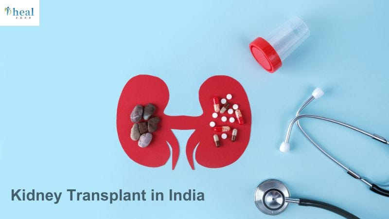 Living Well with a Kidney Transplant: A Guide to Post-Transplant Care ...