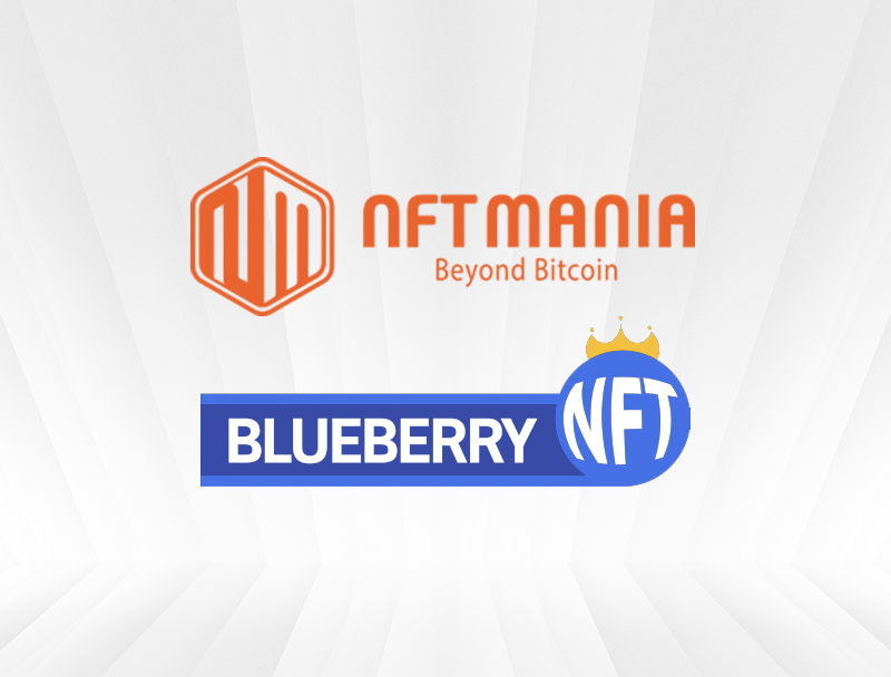 NFT mania, blueberry NFT’s “Right Hand”… “STANBYB NFT Exchange” business agreement. | by NFT ...