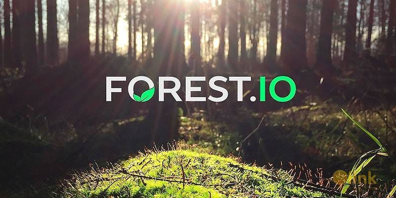 Review on Foresting. About Foresting: Foresting is projected… | by ...
