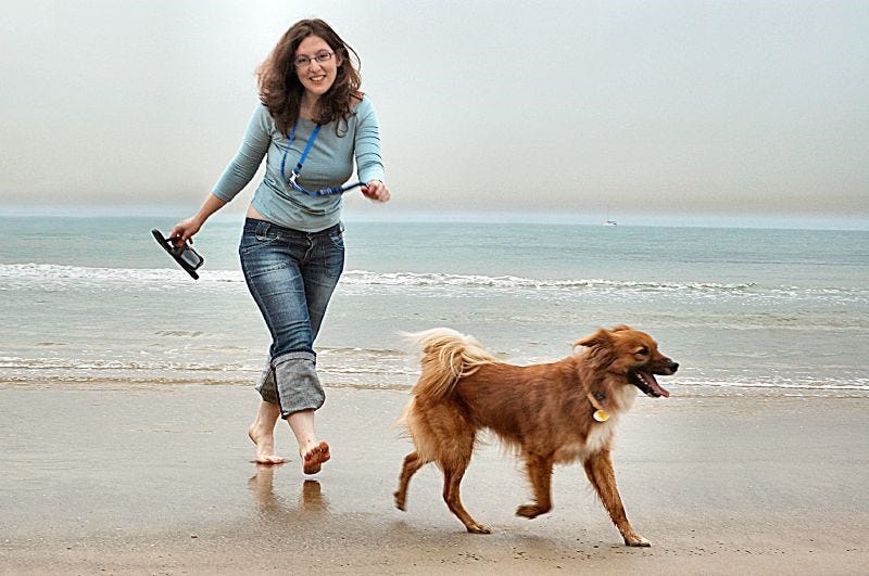 4 Helpful Tips For Walking Your Dog | by Cassie Blake | Medium