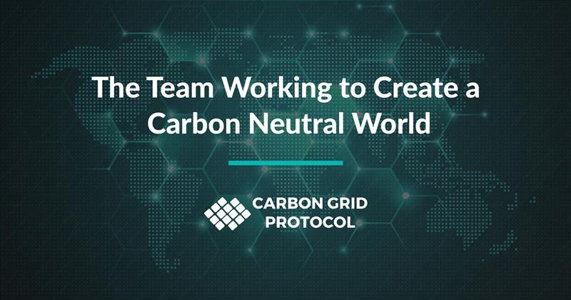 CGRID Behind the Scenes: The Team Working to Create a Carbon Neutral World | by CGRID_Team ...