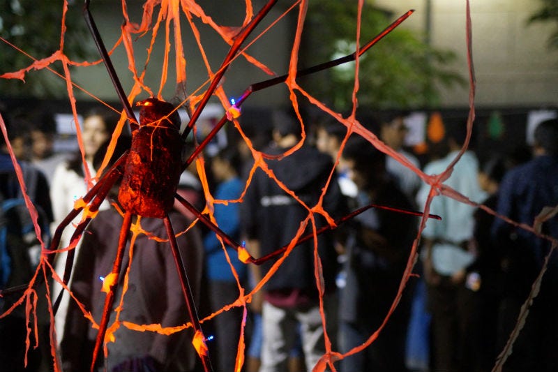 Winter Carnations: Welcoming Winters the IITGN Way | by Apeksha ...