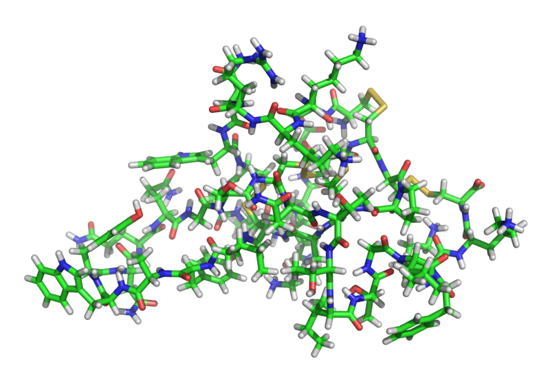 Labeled Peptides. The introduction of labeled peptides: | by ALL ...