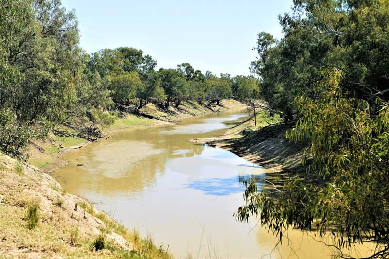 The Darling River Run Extravaganza | by Personal Outback Tours | Medium