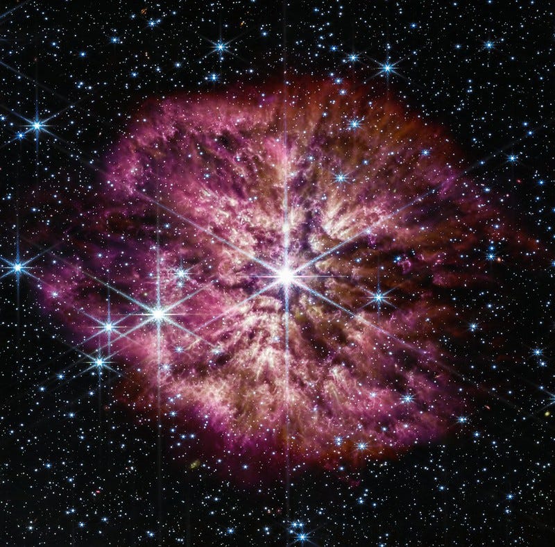 Supernova. Sakura supernova Showering the sky | by Amy Ganser | Medium