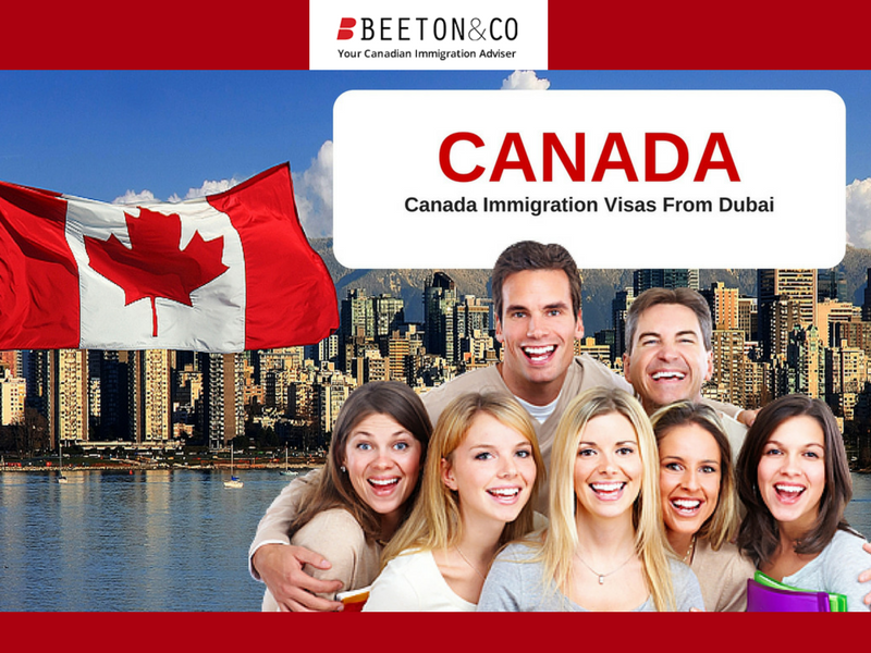 Best Immigration Lawyers in Canada | by Beeton Co | Medium