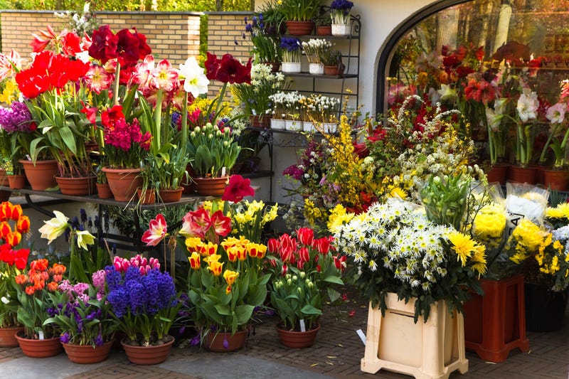 florists southportDIY Flower Arranging Tips from Professional Florists ...