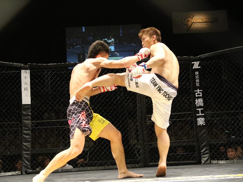Mma Knockout Kick
