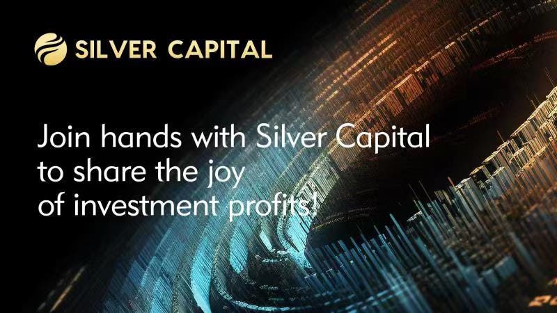 Silver Capital: High Investment Returns and Incentives for User ...