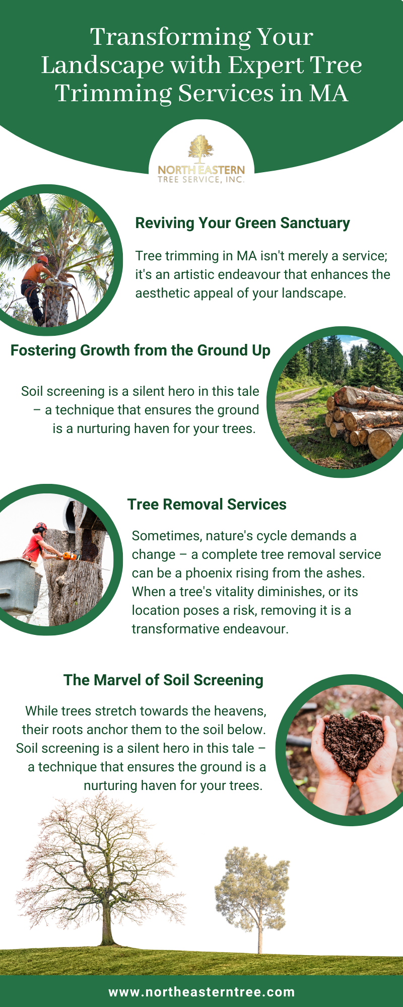 Transforming Your Landscape with Expert Tree Trimming Services in MA - North Eastern Tree ...