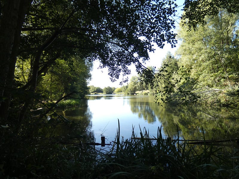 MAKE YOUR OWN CALM PLACE - Netta Kanoho - Medium