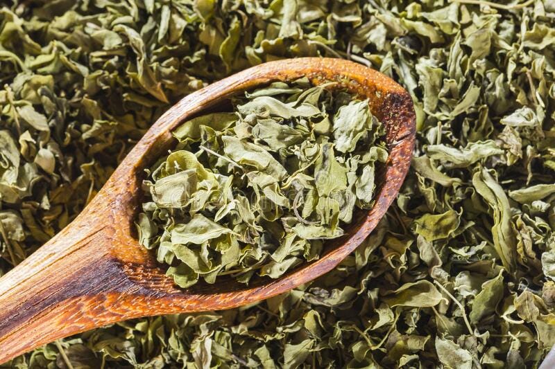 What are the advantages of moringa dried leaves and how can you make ...