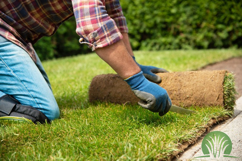 Artificial Grass Fixing Dubai. We Offer Artificial Grass Fixing At ...