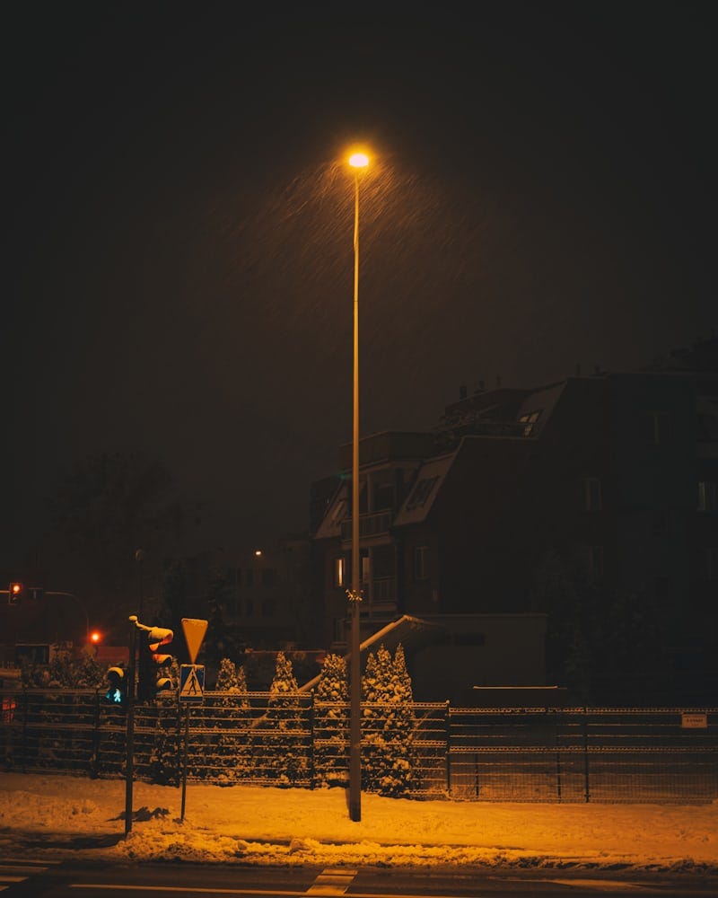 A Shivering Street Light. A poem on healing and safeguarding… | by Sea ...