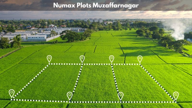 Numax Plots Muzaffarnagar | Crafts Your Home | by Hpv | Jun, 2024 | Medium