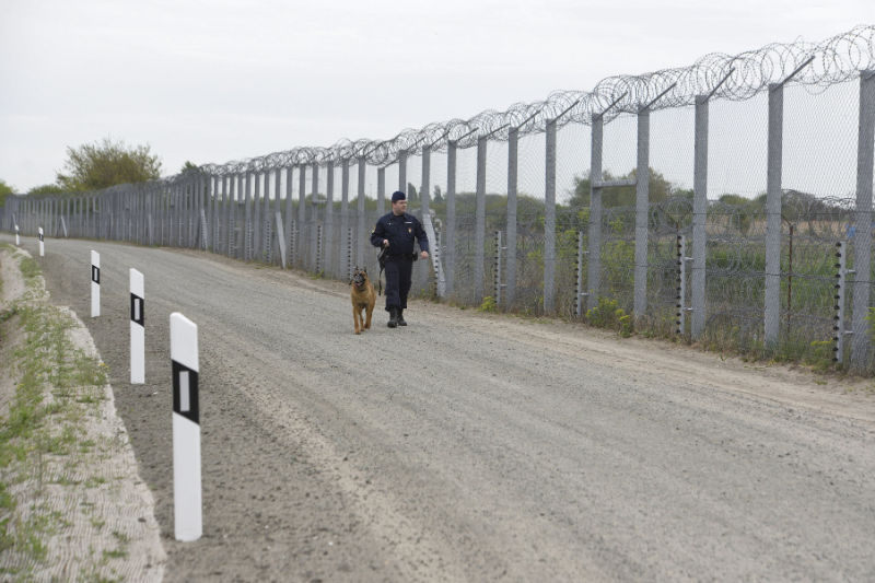 Hungary’s Unprecedented Move: Over 1,400 Convicted People Smugglers ...