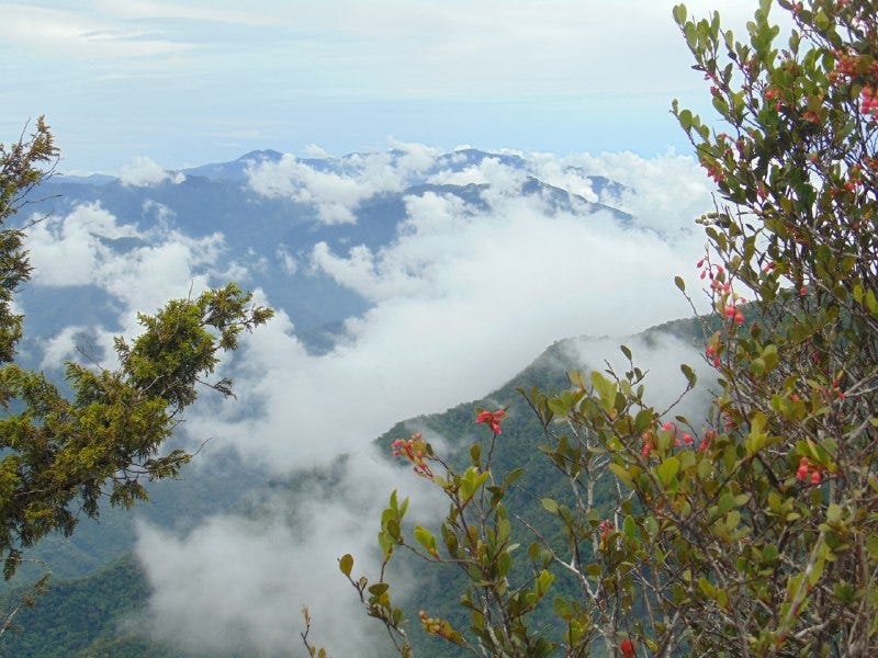 Crónica de una filóloga en el Pico Turquino | by El Caimán Barbudo | El ...