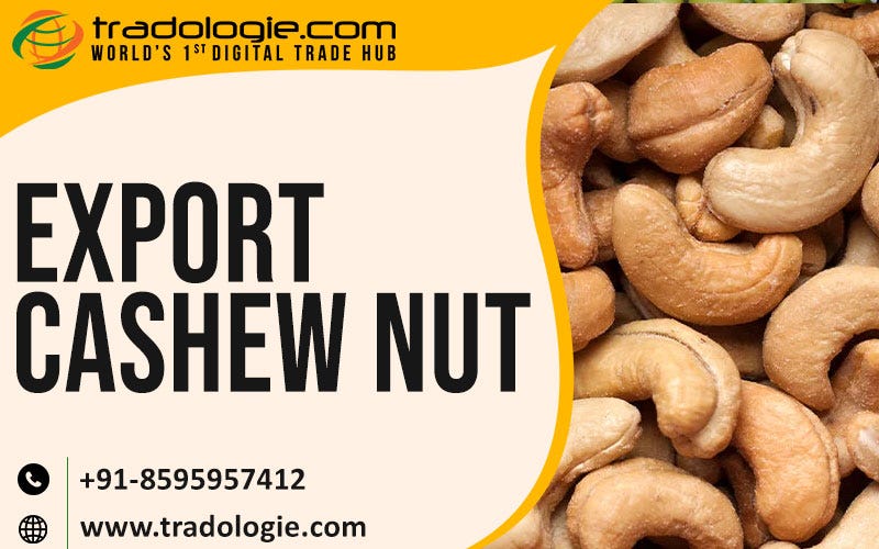 Export Cashew Nut - Tradologie - Medium