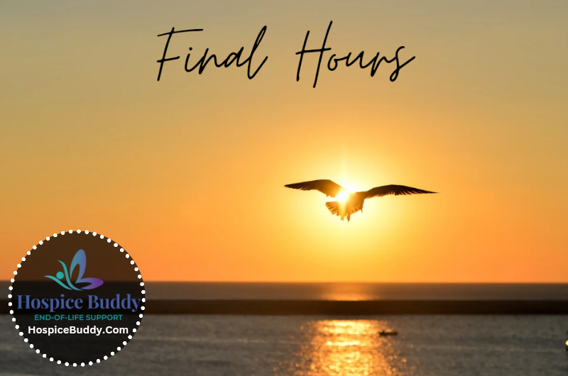Final Hours of the End of Life Journey | by HospiceBuddy | Medium