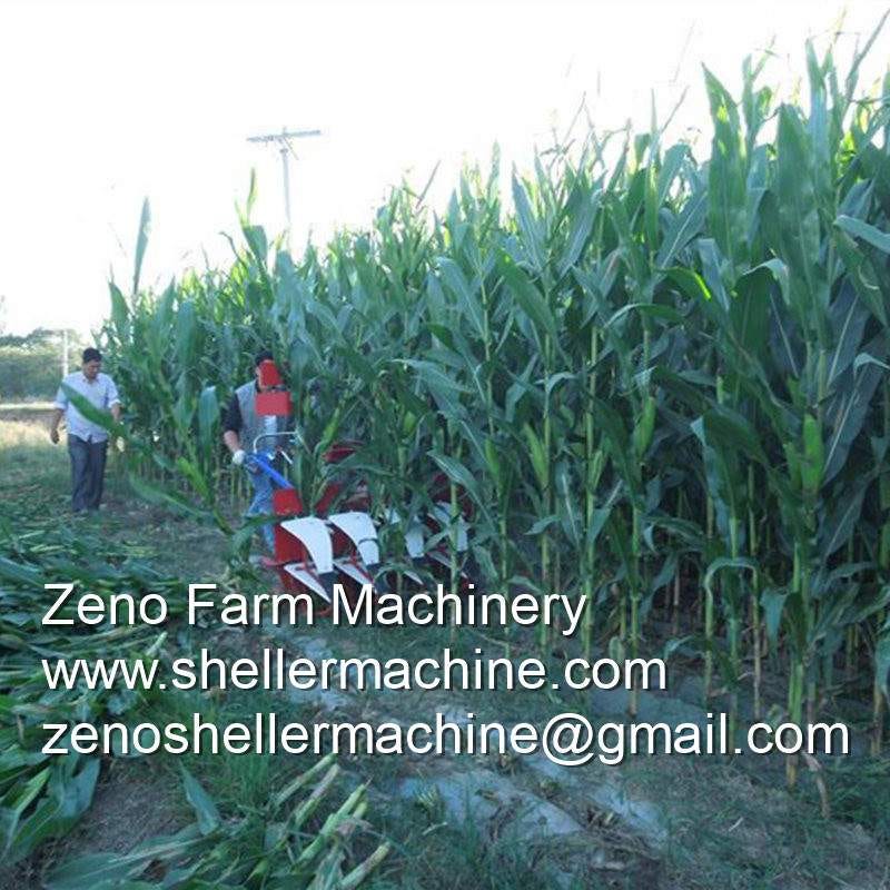 Prepare For Harvest. Now is the time to get the wheat… | by Zeno Farm ...