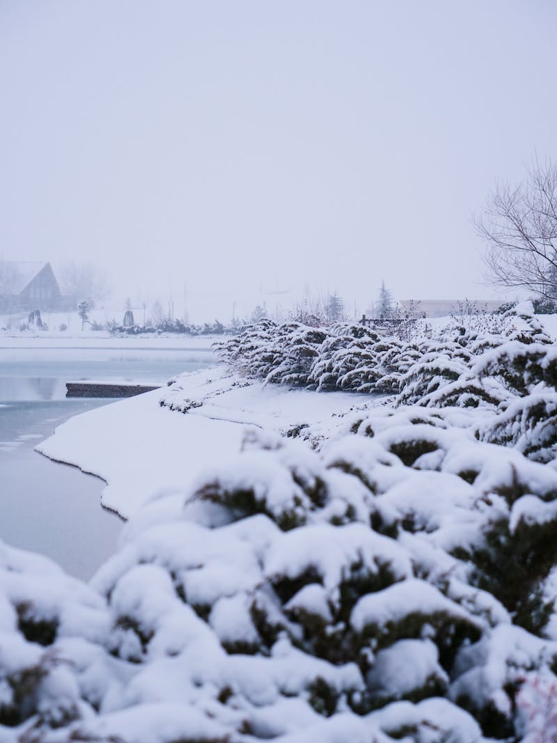 WINTER WONDERLAND: Exploring Winter Sports in the Majestic Kashmir | by Shaista Malik | Jan ...